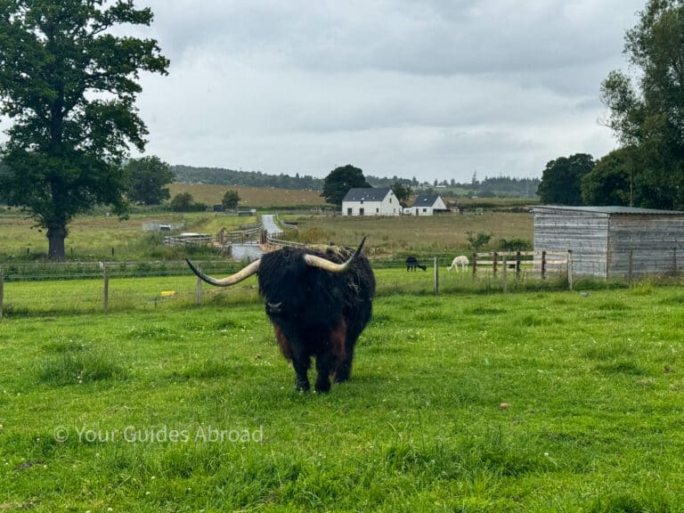 Inverness Guided Tours: Starting in Invergorden or Inverness - Your ...