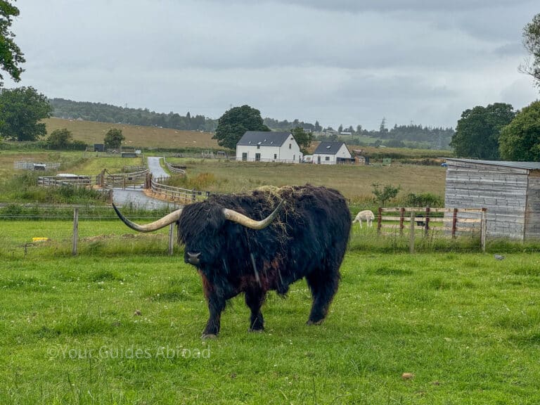 Our 18 Favorite Inverness Things to Do (all worth it!) - Your Guides Abroad